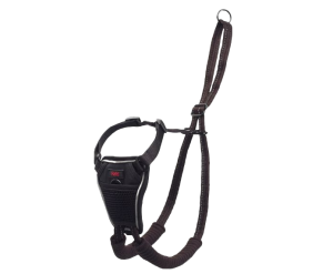 Halti Dog Training: No Pull Harnesses, Head Collars & Training Leads