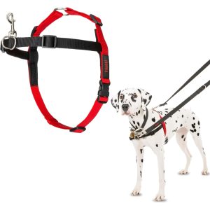 Halti Dog Training: No Pull Harnesses, Head Collars & Training Leads
